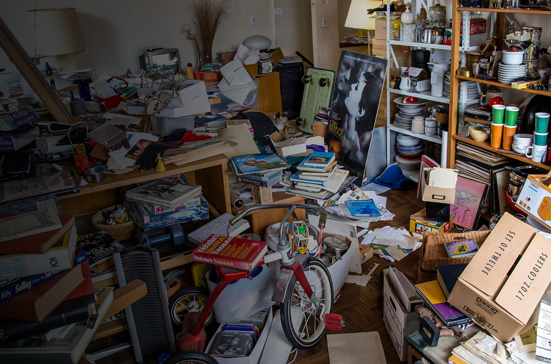 Hoarder House Cleaning Sydney